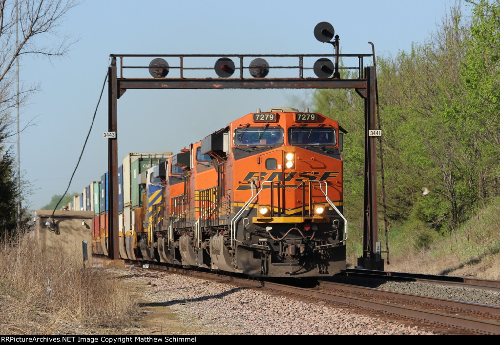 Elephant Style Under The Signals